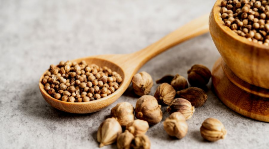 Zoom sur le carvi | Bio à la une