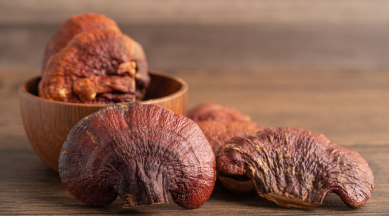 Zoom sur le reishi | Bio à la une