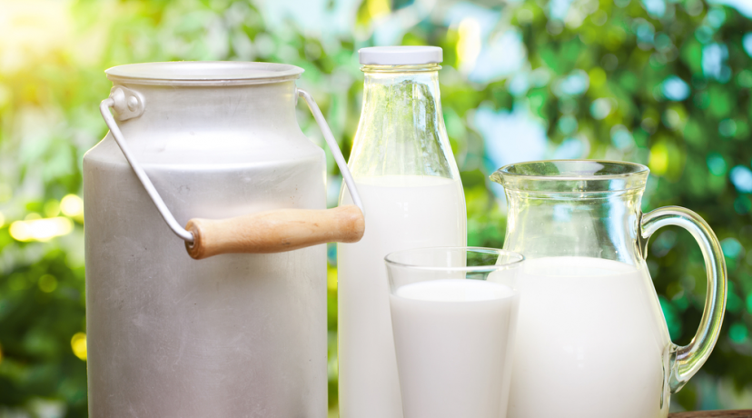 Le lait de chèvre, vraiment plus sain que le lait de vache ? | Bio à la une