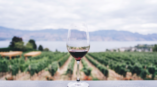 Bio à la Une | Pour prendre soin de soi et de la planète