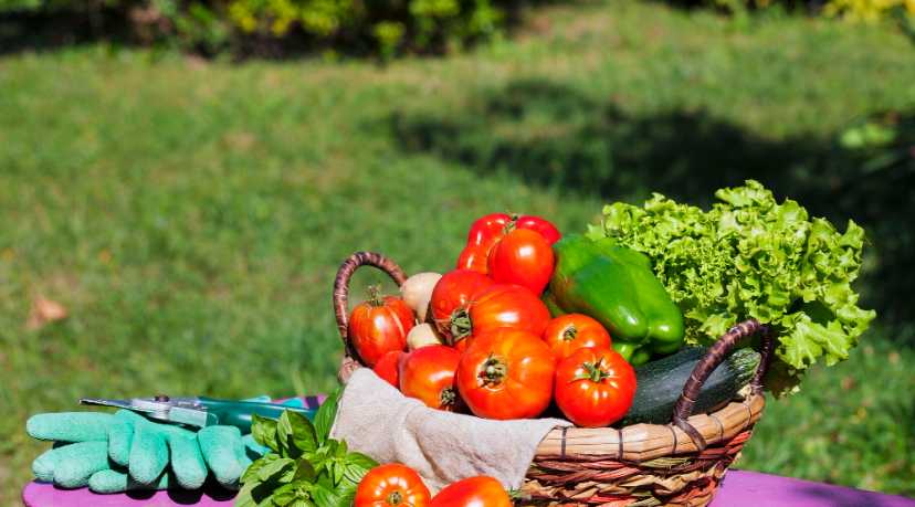 Comment conserver les fruits et légumes d'été : conseils pour la mise ...