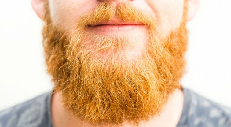 7 bonnes raisons de se laisser pousser la barbe | Bio à la une