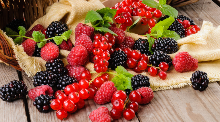 Les fruits et légumes à déguster en août | Bio à la une