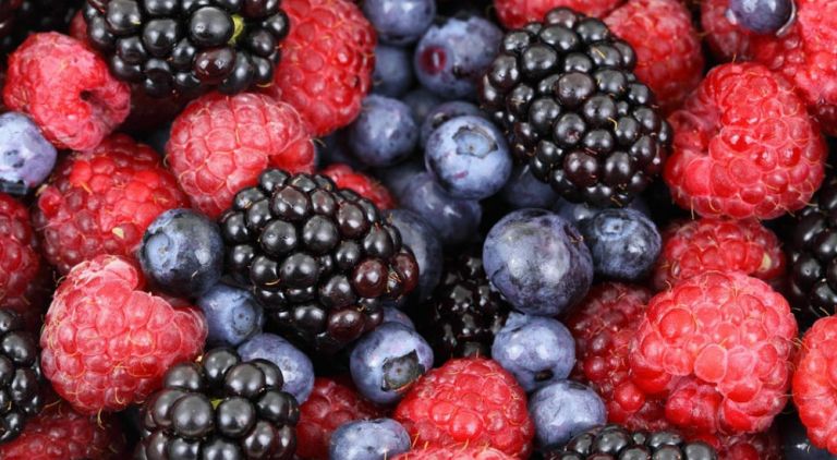 Les 10 aliments les plus riches en antioxydants | Bio à la une