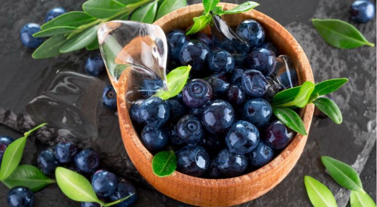 Les 10 aliments les plus riches en antioxydants | Bio à la une