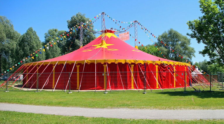 L’"Écocirque", premier cirque traditionnel 100 % humain | Bio à la une