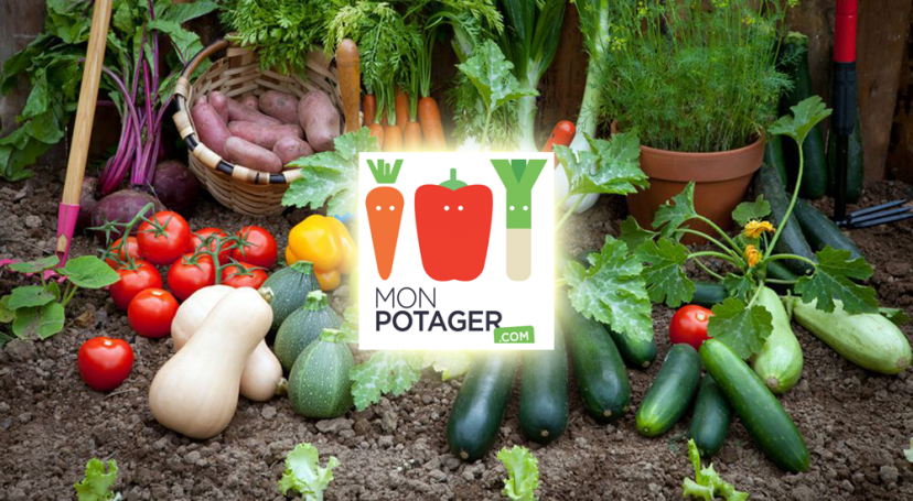 Créer son potager bio en ligne avec Mon Potager.com | Bio à la une