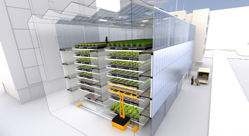 Les fermes usines à légumes arrivent en France | Bio à la une